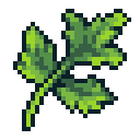 Cilantro | Travellers Rest Wiki | Fandom