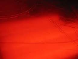 The Harbinger Experiment II | Trayanpasta Wiki | Fandom