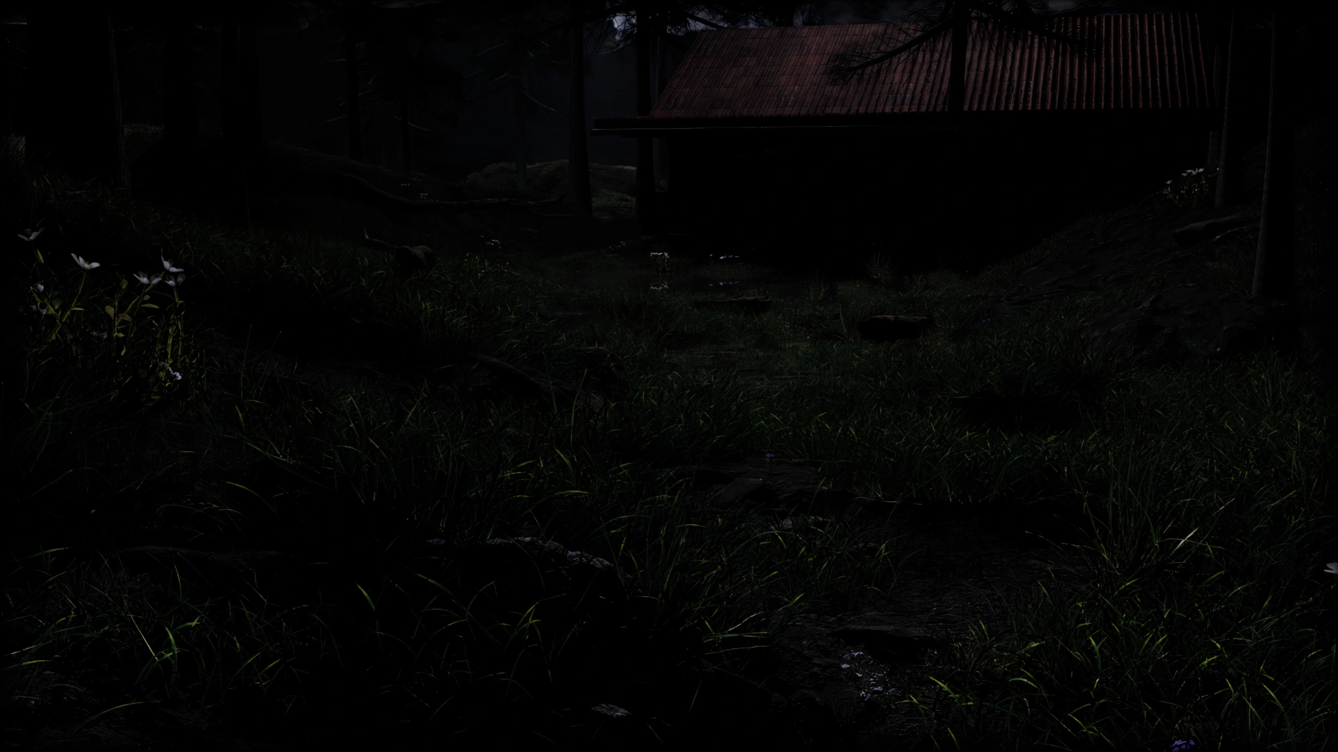 Cabin | Treasure Island Wiki | Fandom