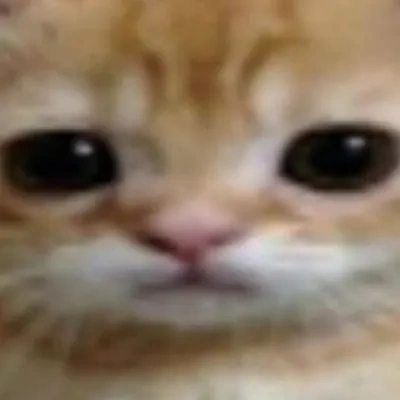 Tamano | Treasure Island Wiki | Fandom