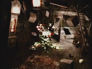 The Corruptus | Treasure Island Wiki | Fandom