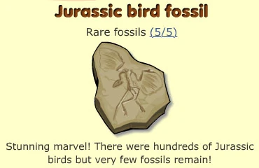 Jurassic bird fossil | Treasure Madness Wiki | Fandom