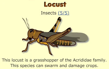 Locust | Treasure Madness Wiki | Fandom