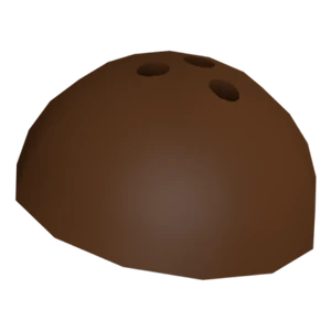 Coconut Helmet | Treasure Quest Wiki | Fandom