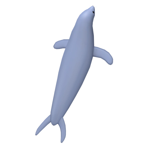 Seal | Treasure Quest Wiki | Fandom