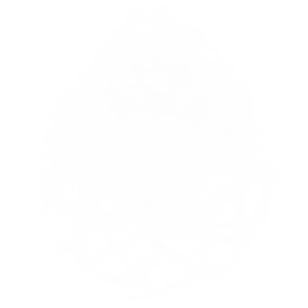 Steam | Treasure Quest Wiki | Fandom