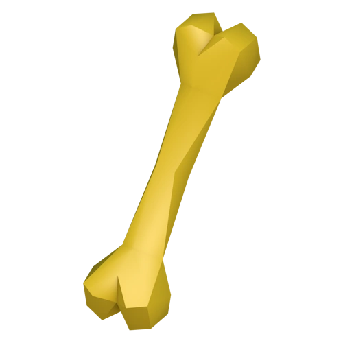 Golden Bone | Treasure Quest Wiki | Fandom