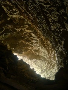 CaveClan | TreeClan, FieldClan, LakeClan, CaveClan RP Wiki | Fandom