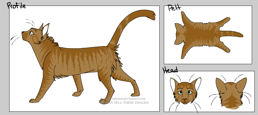 Hawkstorm | TreeClan, FieldClan, LakeClan, CaveClan RP Wiki | Fandom