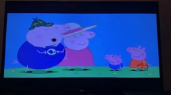 January 16, 2023 | Treehouse Schedule Archives Wiki | Fandom