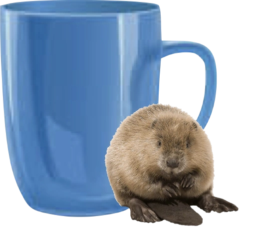 Lace | Tree’s Beavers Wiki | Fandom