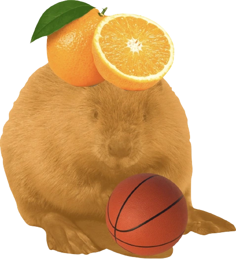 Orange | Tree’s Beavers Wiki | Fandom