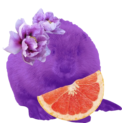 Indigo | Tree’s Beavers Wiki | Fandom