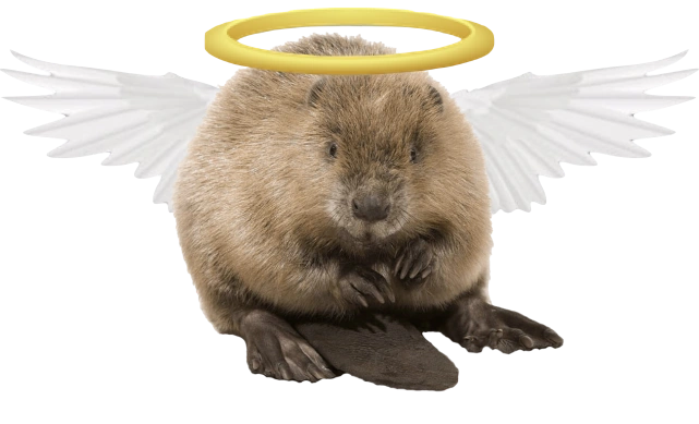 Angel | Tree’s Beavers Wiki | Fandom