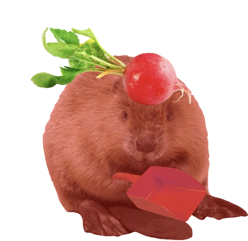 Radish | Tree’s Beavers Wiki | Fandom