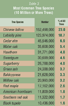 Trees of Texas Wikia | Fandom