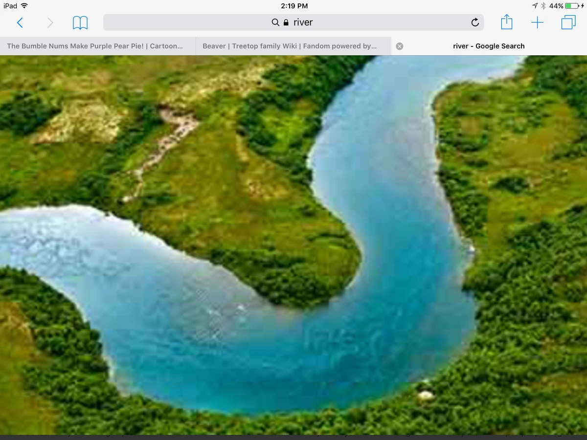 River family | Treetop family Wiki | Fandom