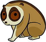 Slow Loris | Tree World Wiki | Fandom