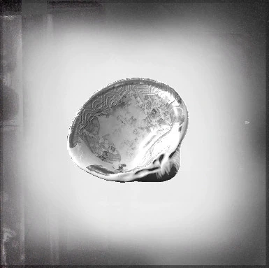 Kai-awase Shell | Trek to Yomi Wiki | Fandom