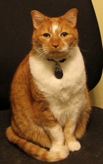 Alex | Trek Creative Wiki | Fandom