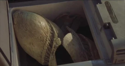 Graboid (egg) | Tremors Wiki | Fandom