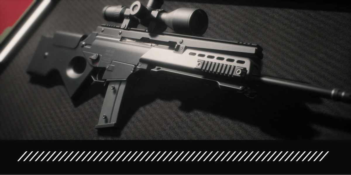 DMR | Trepang2 Wiki | Fandom