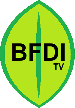 BFDI TV | Trevaughn & Kahlil! Wiki | Fandom