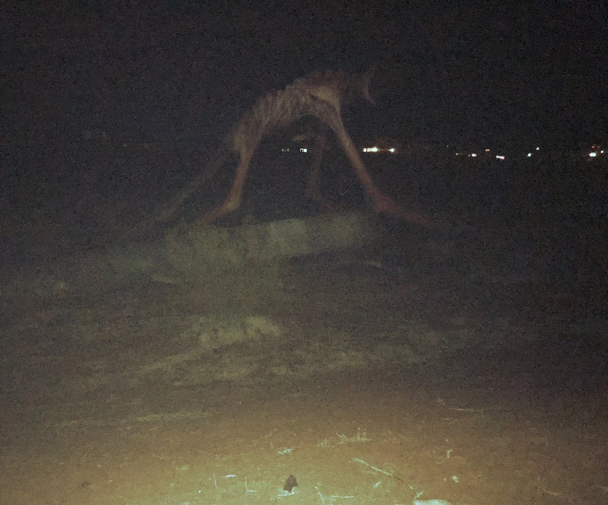 The Midnight Crawler | Wiki Trevor Creature | Fandom