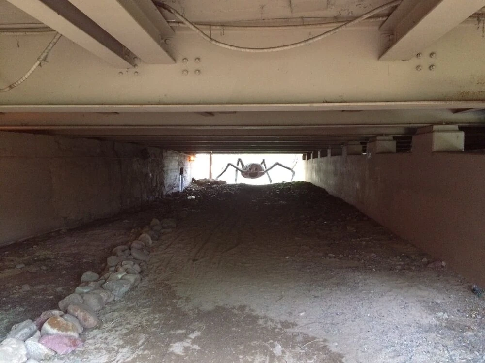 Humanoid Spider | Wiki Trevor Creature | Fandom