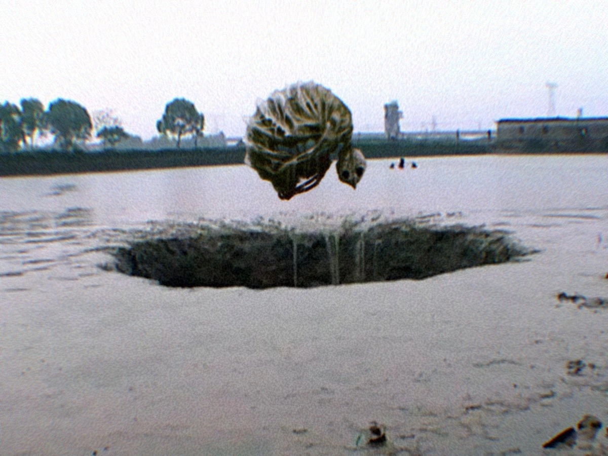 Biomimetics Creature | Wiki Trevor Creature | Fandom