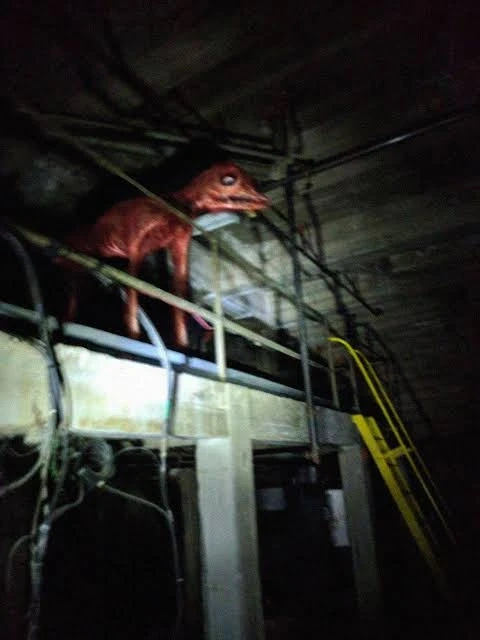 Skin Walker | Wiki Trevor Creature | Fandom