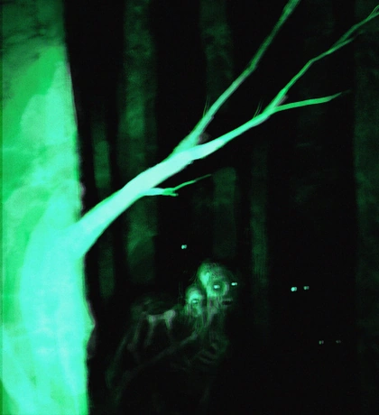 WildLife | Wiki Trevor Creature | Fandom