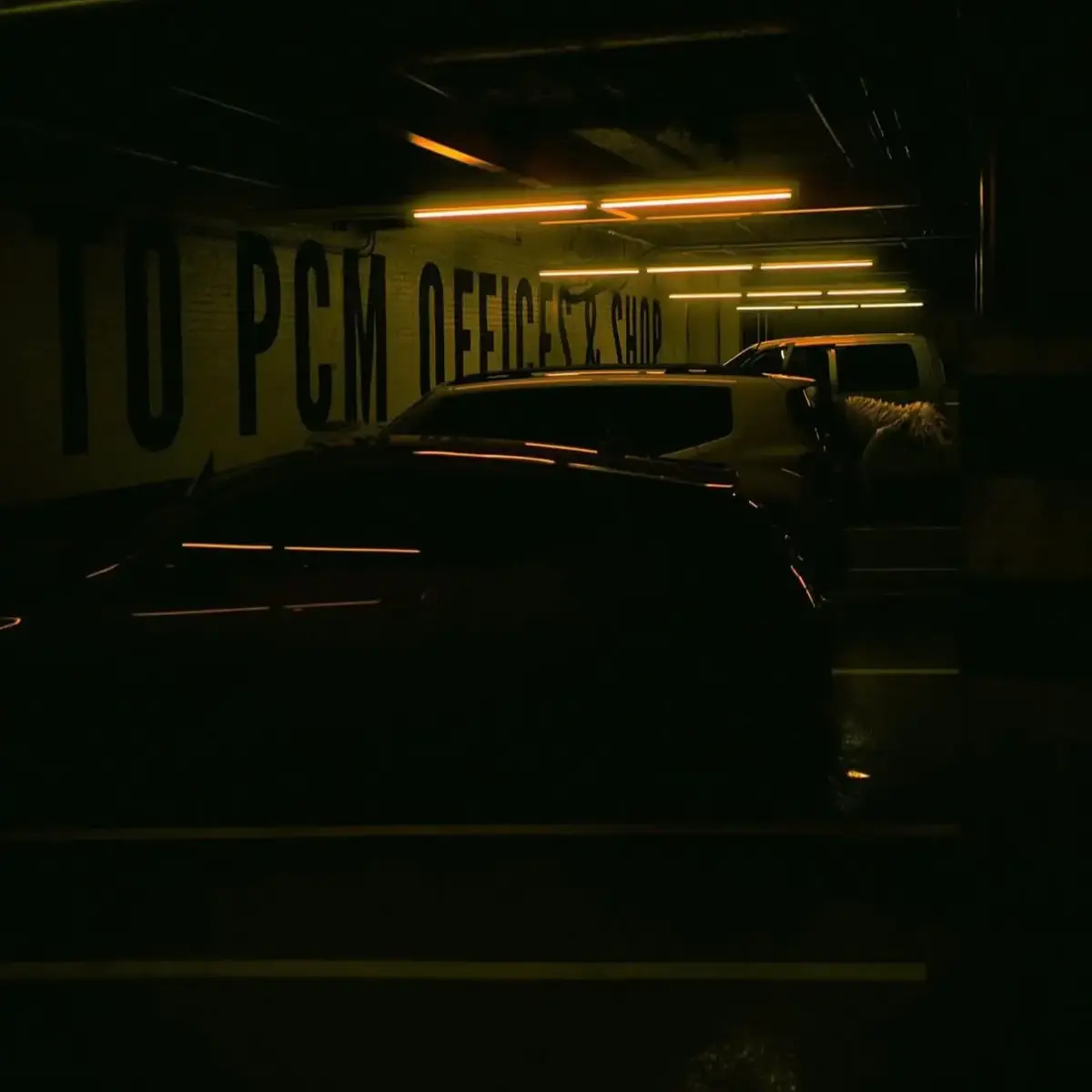 Street Dog | Wiki Trevor Creature | Fandom