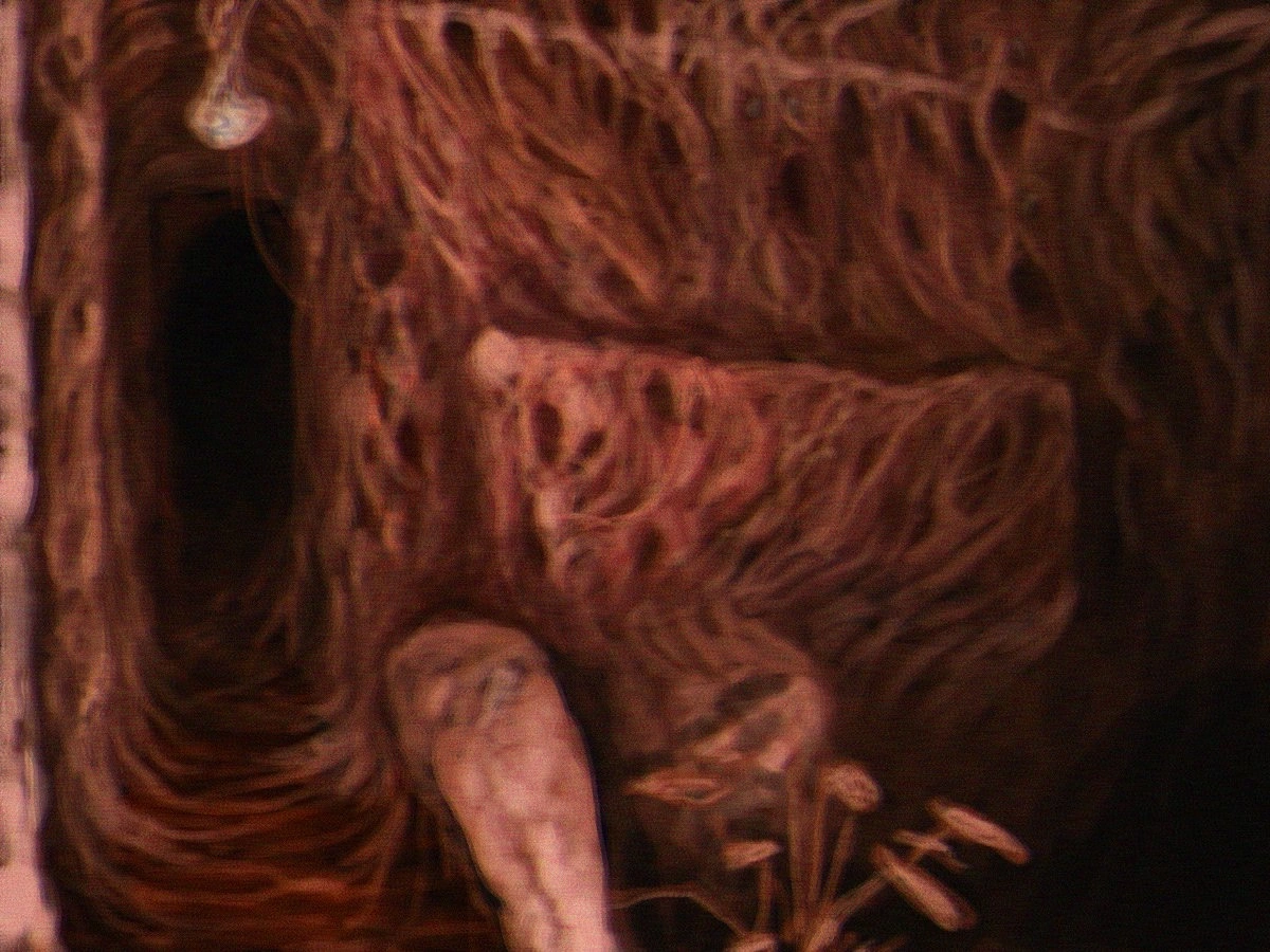 Craigslist Monster | Wiki Trevor Creature | Fandom