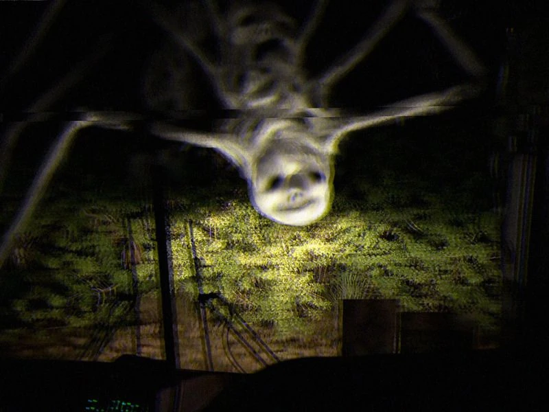 Spider Eats | Wiki Trevor Creature | Fandom