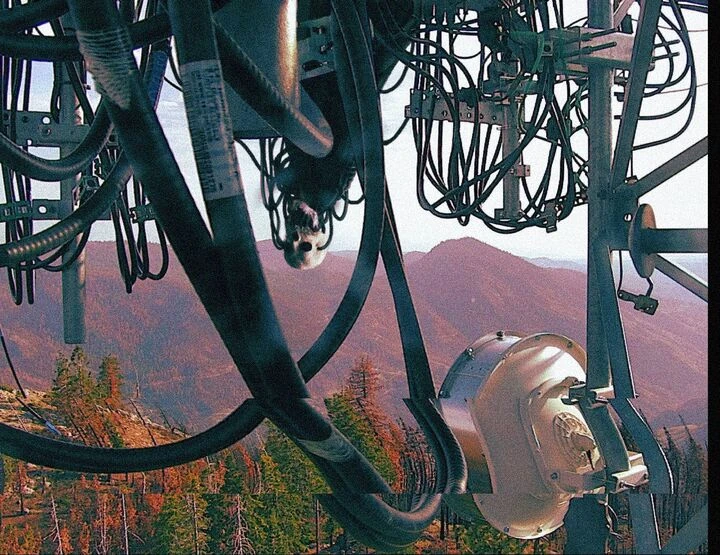 Wired Bodies | Trevor Henderson All Creatures Wiki | Fandom