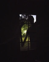 The Window Thing | Trevor Henderson All Creatures Wiki | Fandom