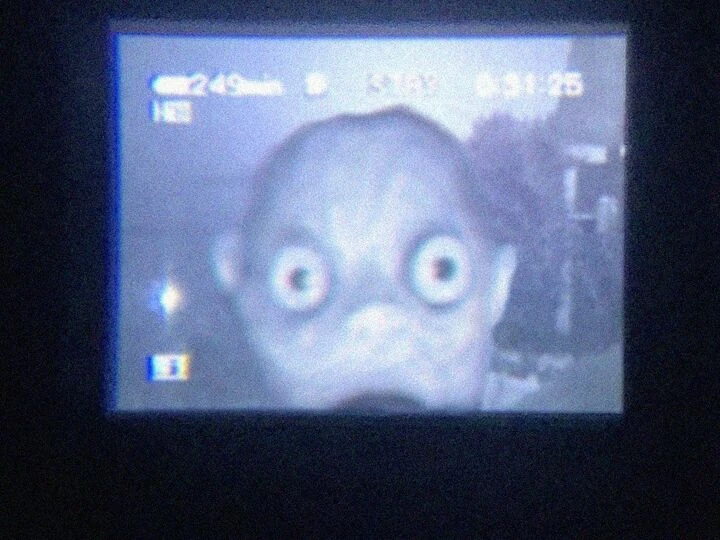 The Attention Seeker | Trevor Henderson All Creatures Wiki | Fandom