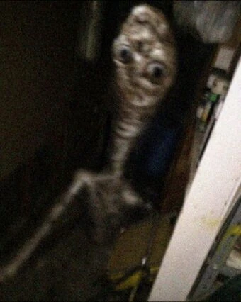 Old Growth | Trevor Henderson All Creatures Wiki | Fandom