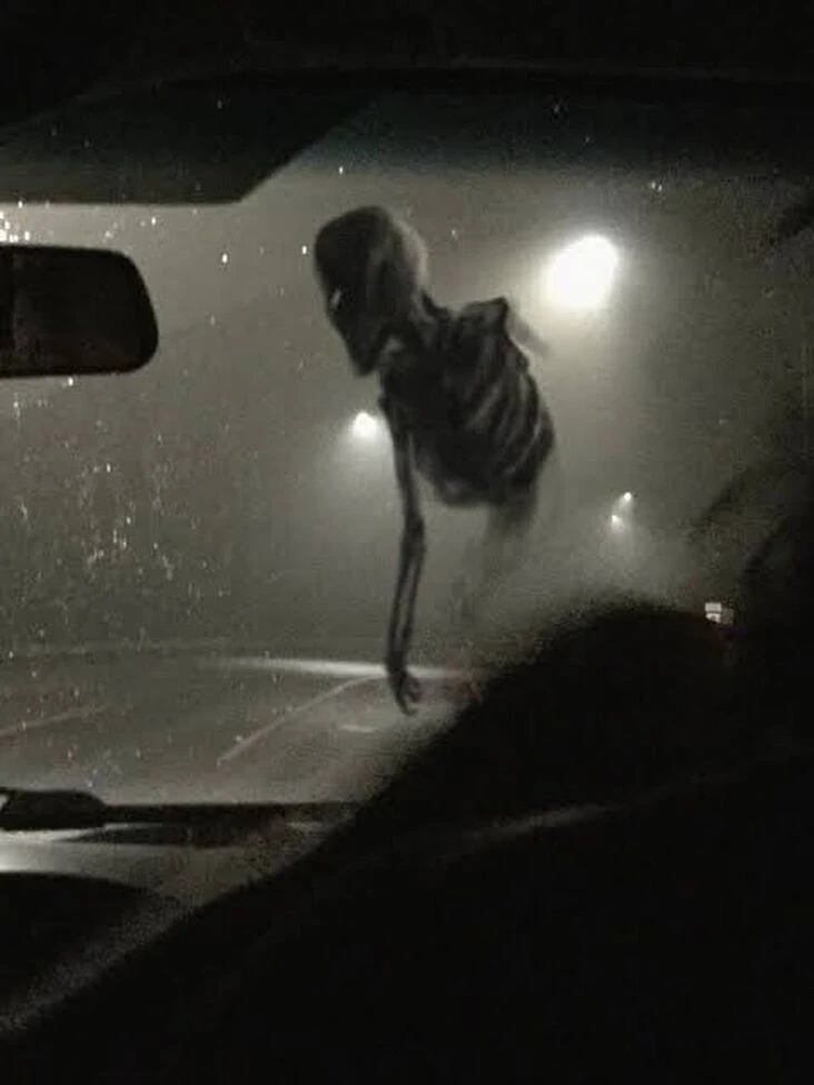 A Curious Shape | Trevor Henderson All Creatures Wiki | Fandom