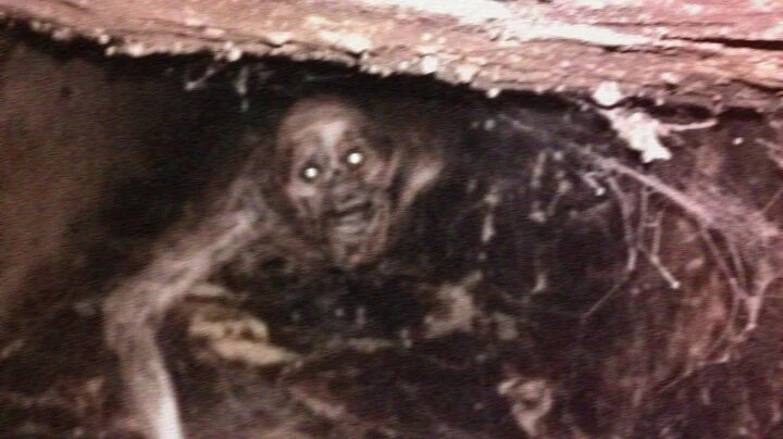 The Zombie Ghost/Disposable Camera | Trevor Henderson All Creatures ...