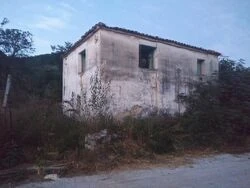 Window Watcher | Trevor Henderson All Creatures Wiki | Fandom