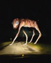 Big Charlie | Trevor Henderson Creations Wiki | Fandom