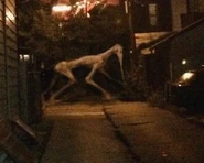 Street Horse | Trevor Henderson Cryptids Wiki | Fandom