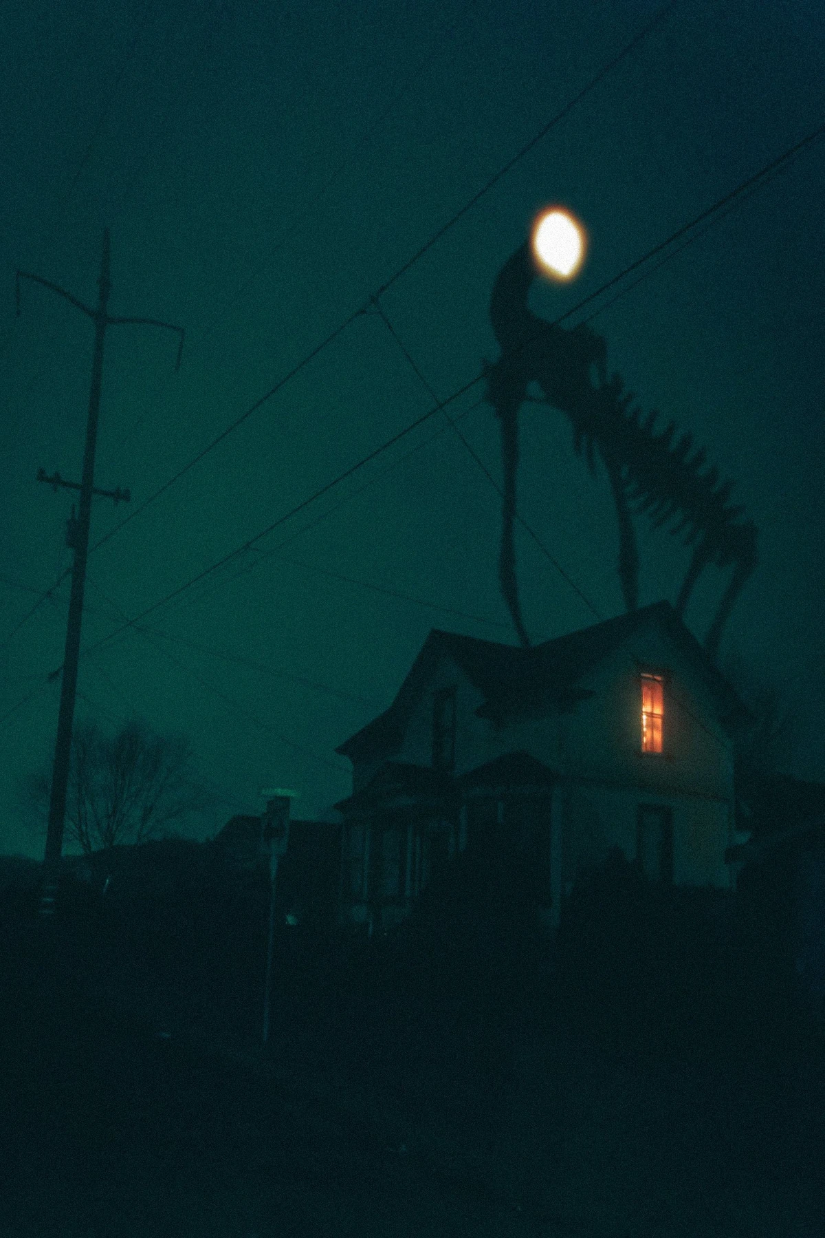 Roving Moon | Trevor Henderson Wiki | Fandom