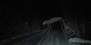 User blog:SharkPuppet108/Country | Trevor Henderson Wiki | Fandom