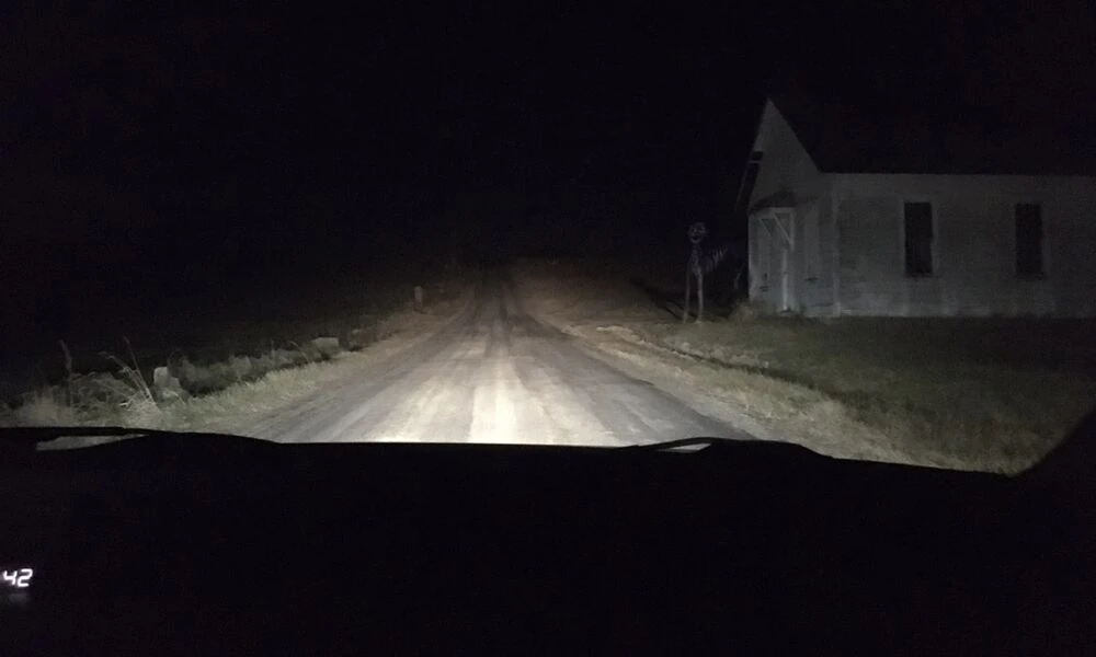 The Observer From The Old Roads | Trevor Henderson Wiki | Fandom