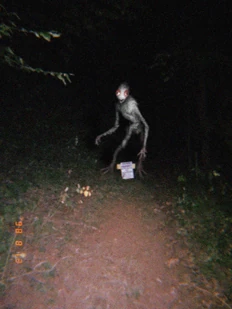 Chicken Ghost | Trevor Henderson Wiki | Fandom