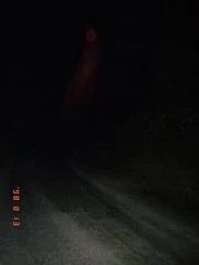 The 98-8-13 | Trevor Henderson Wiki | Fandom