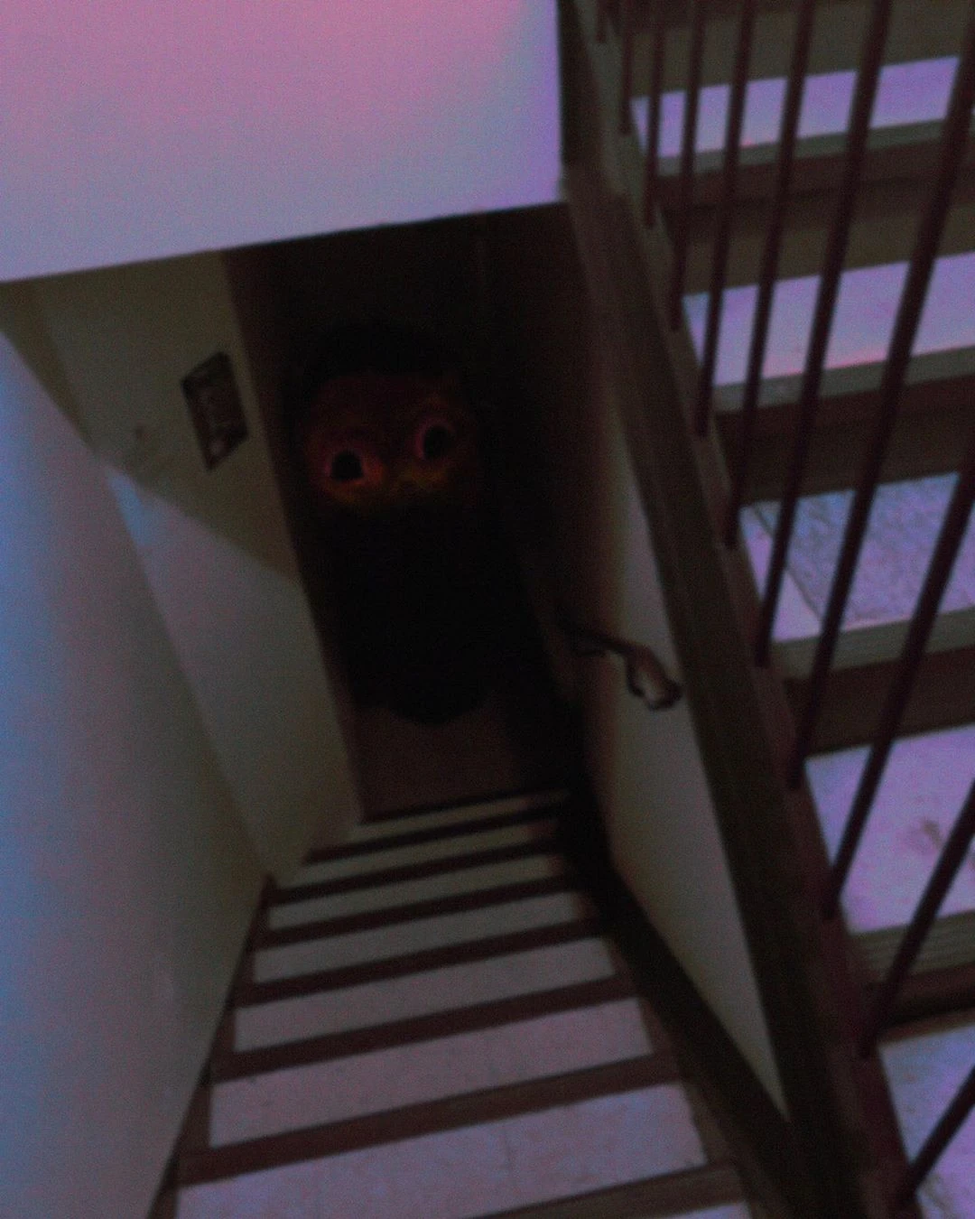 User blog:SharkPuppet108/Forgotten Baby but it's Fan Made Images ...